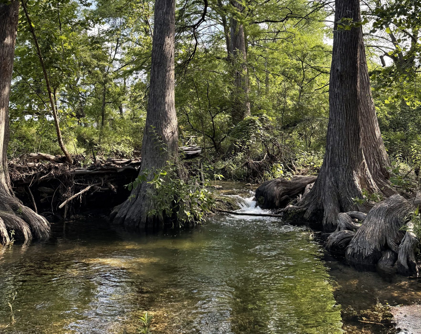 Blue Hole Is Back—Clearer, Busier, And More Beautiful Than Ever | City ...